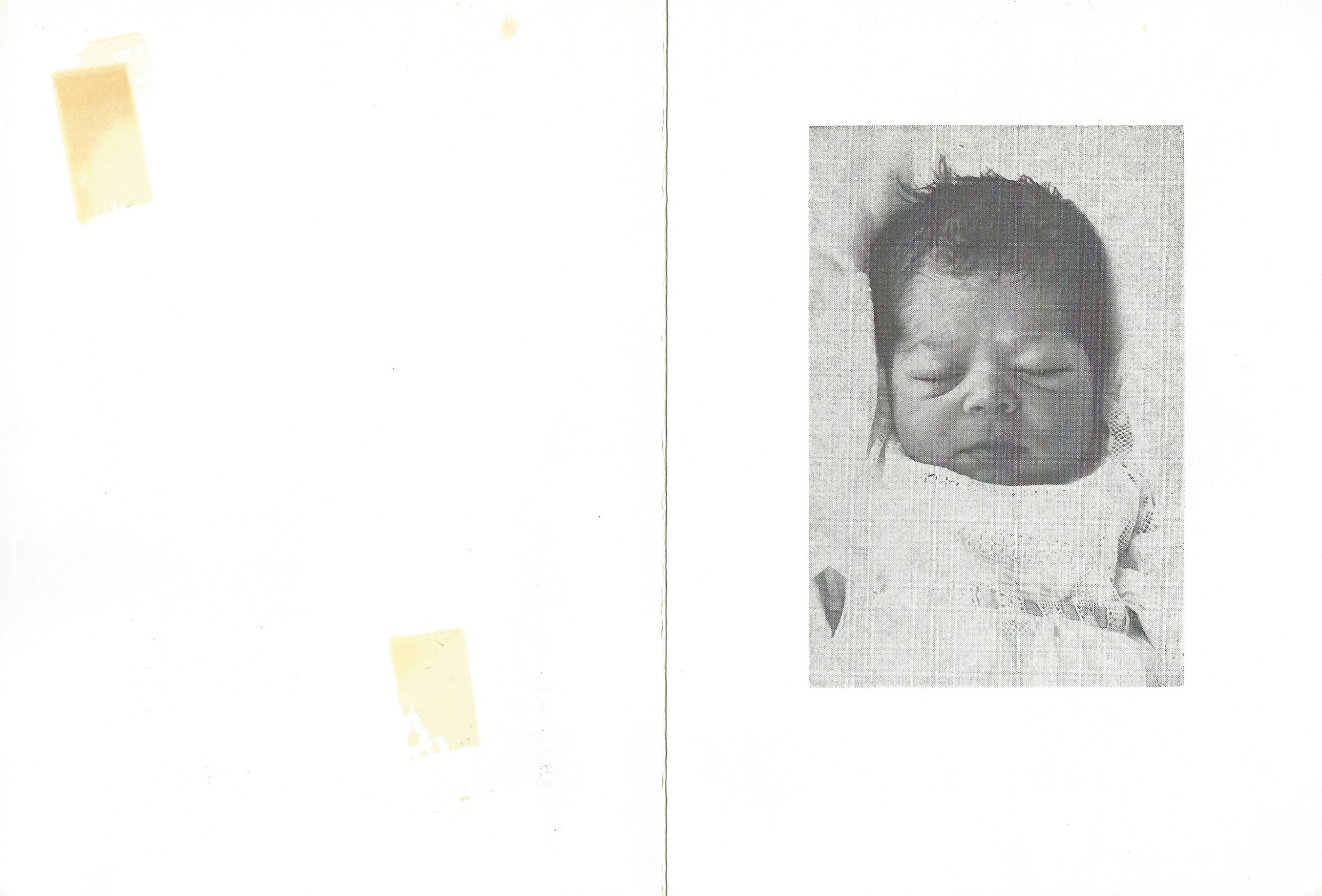 Birth of Nicolas Guillermo – RoyalResponses
