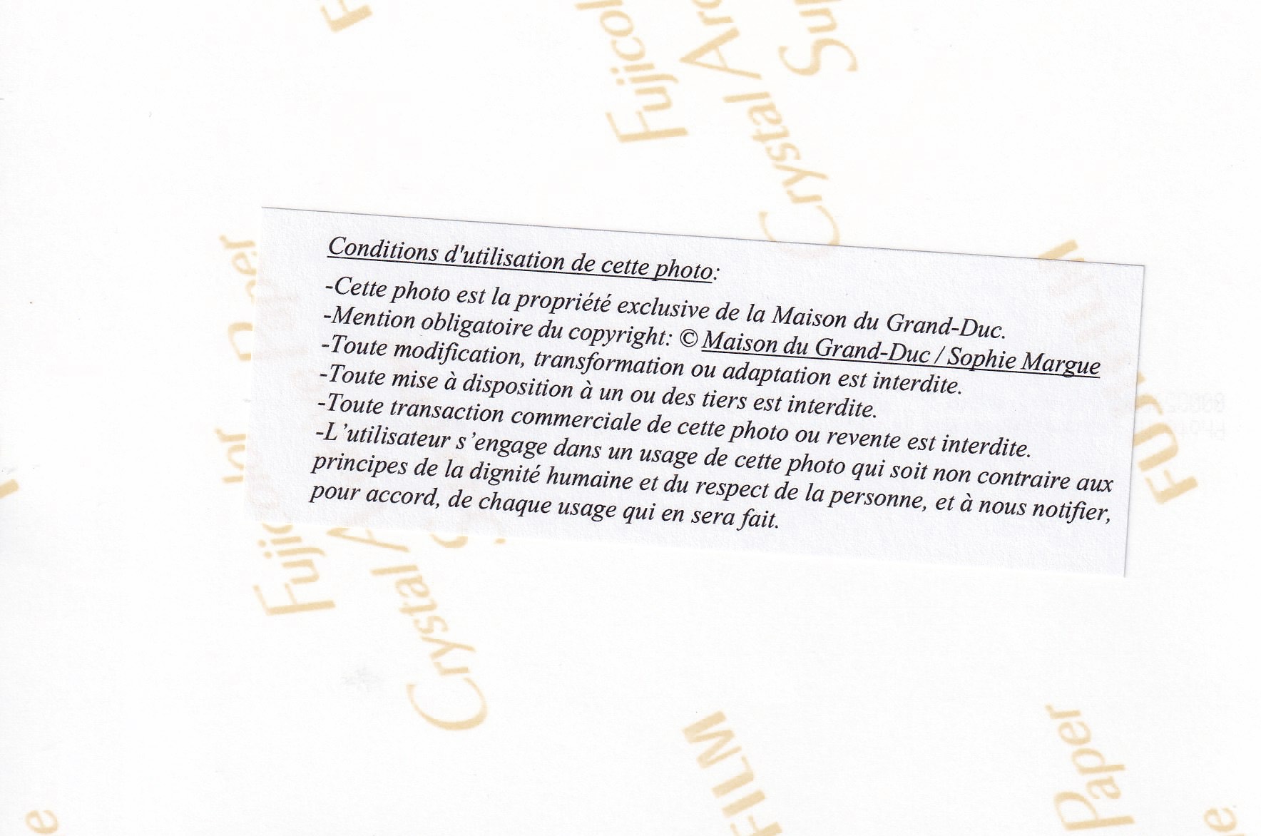 Prince Gabriel de Nassau’s 17th Birthday – RoyalResponses