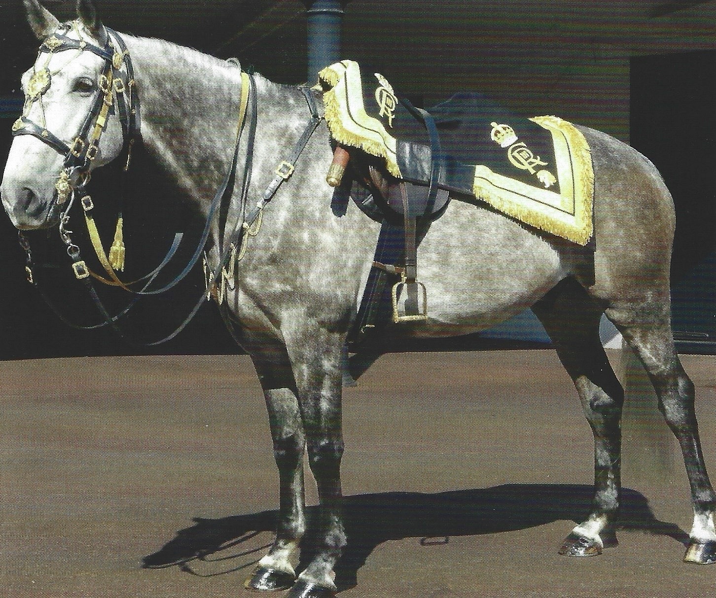 Lieutenant Colonel Rupert Ponsonby, 7th Baron de Mauley Retirement as ...